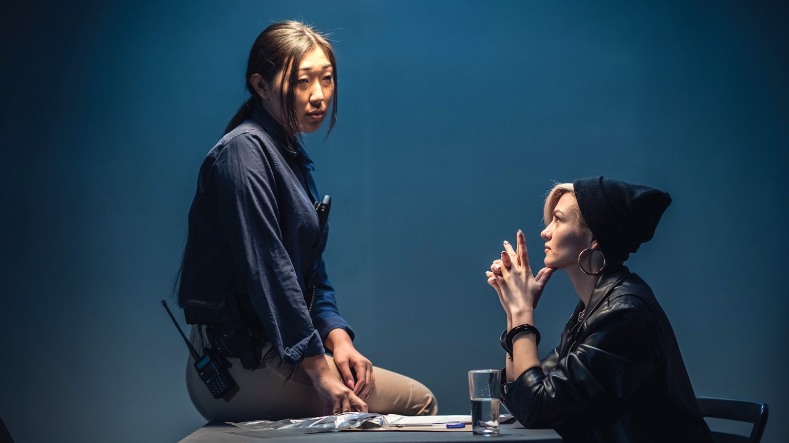 Themes and tactics for successful criminal interrogations - American ...