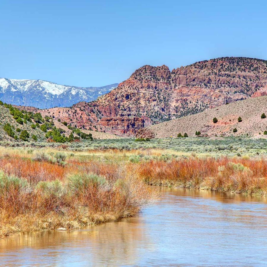 An overview of law enforcement training in the U.S. - American Police ...