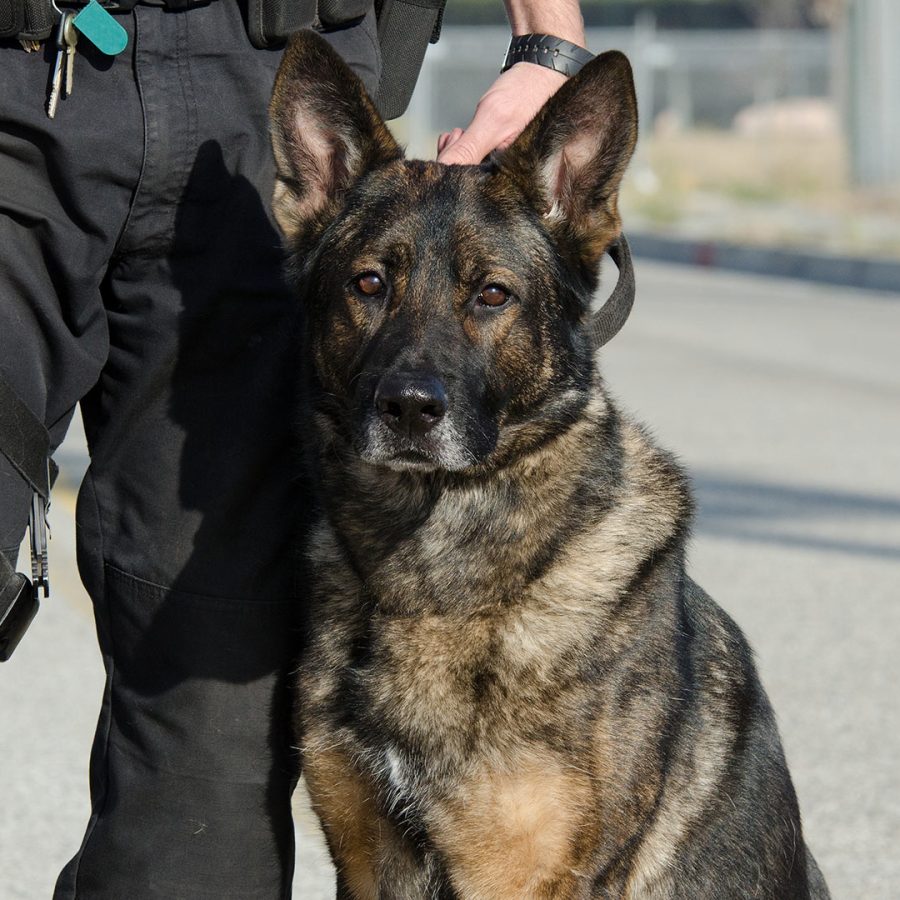 Pre-assaultive indicators: Predicting violence with research - American ...