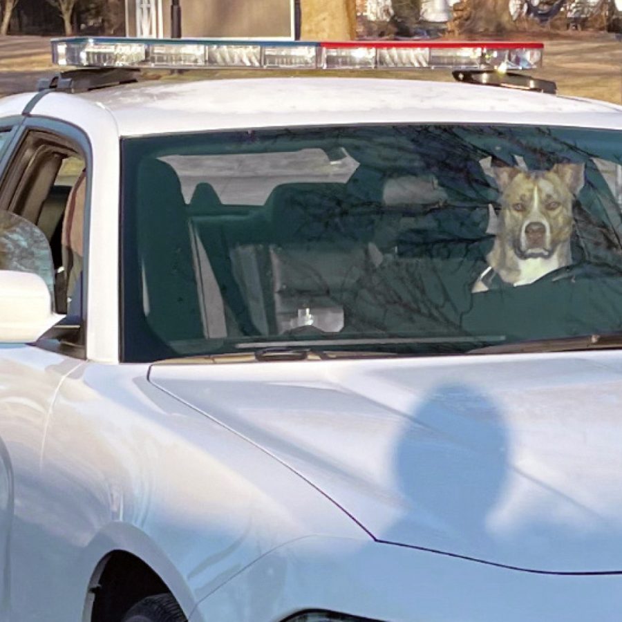 Pre-assaultive indicators: Predicting violence with research - American ...