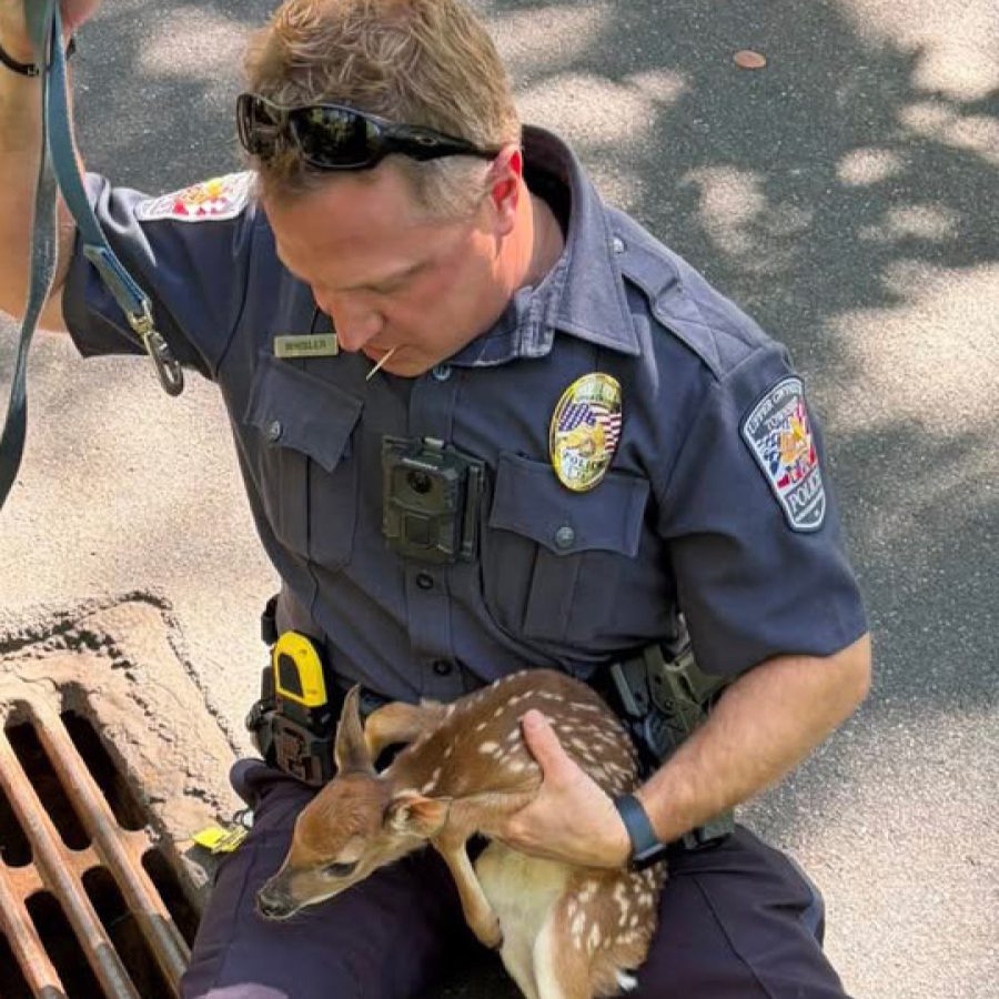 Rules or results? - American Police Beat Magazine